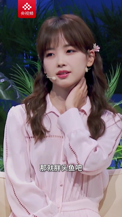 在哪看王冰冰的节目