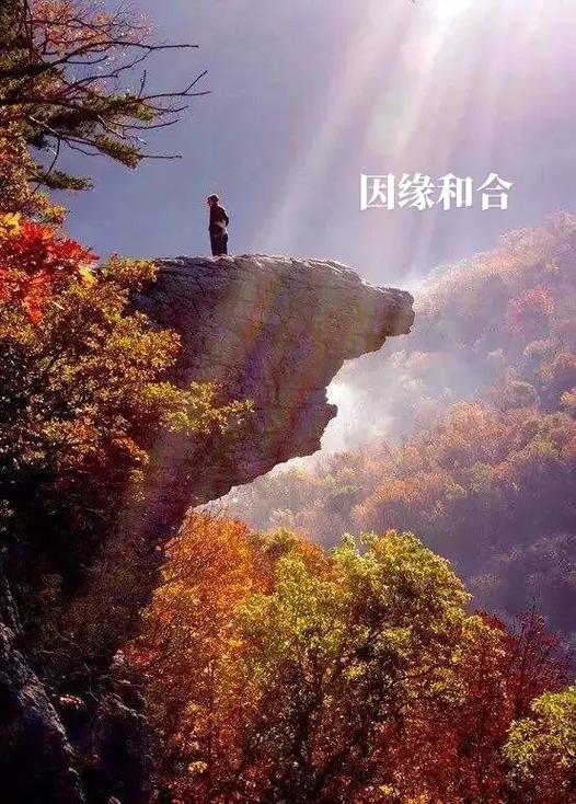 觅缘交友软件图标