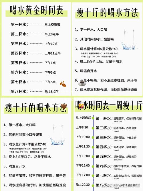 赚钱版喝水日记204图标
