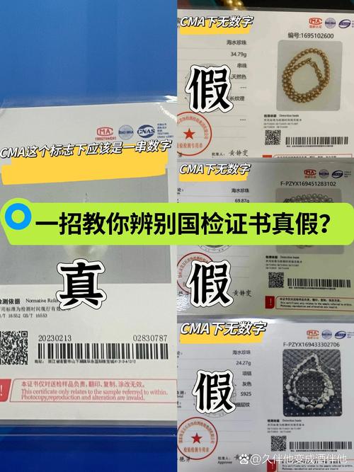 国保项目是真的吗图标