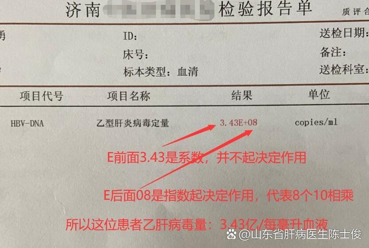 乙肝病毒DNA图标