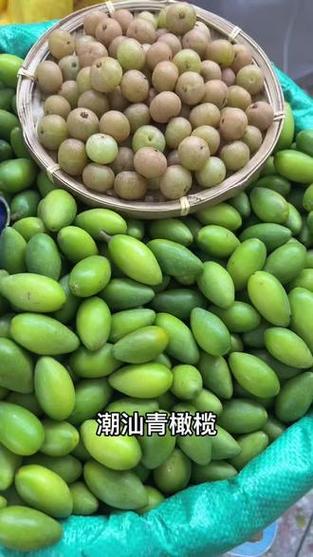 青橄榄一般去哪里买图标