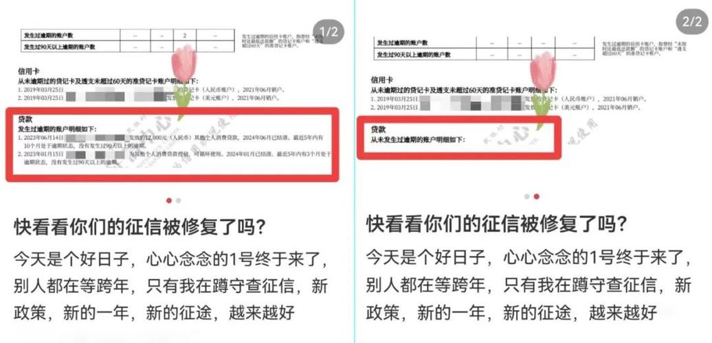 怎样才能征信全部清零截图