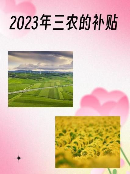 2023年粮食一次性补贴