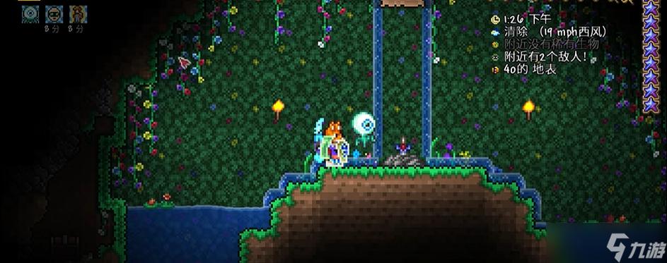 泰拉瑞亚无法创建新的堆栈防护页面截图