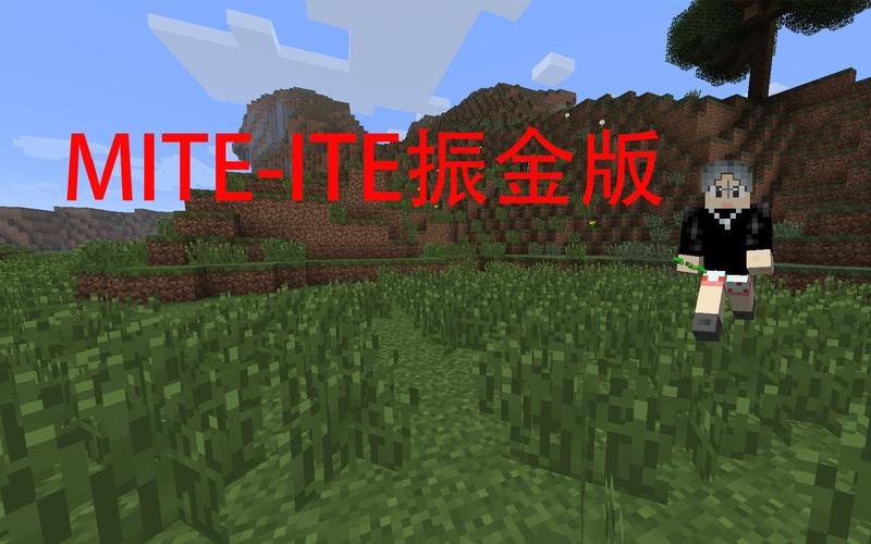 我的世界贝爷生存木棍图标