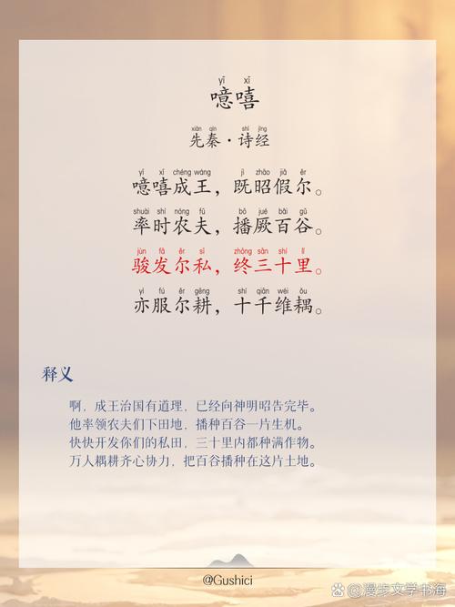 s站嘶哩嘶哩图标