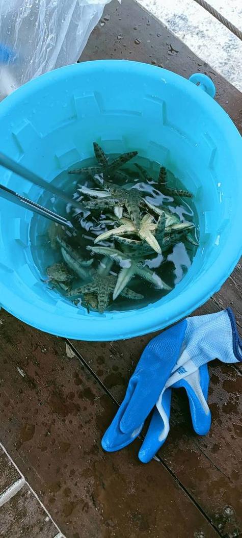 赶海视频图标