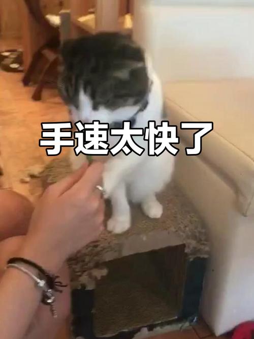 测试手速图标