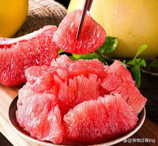 柚子图标