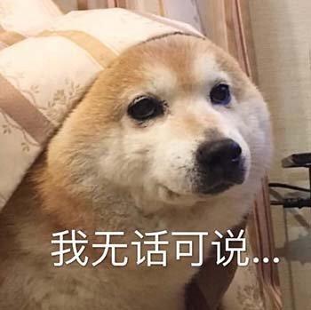 啥也不说了表情图片图标