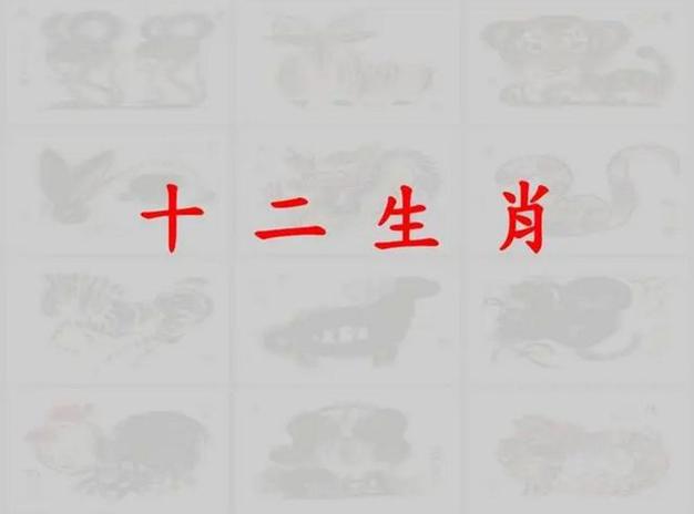 最聪明的生肖第一名图标