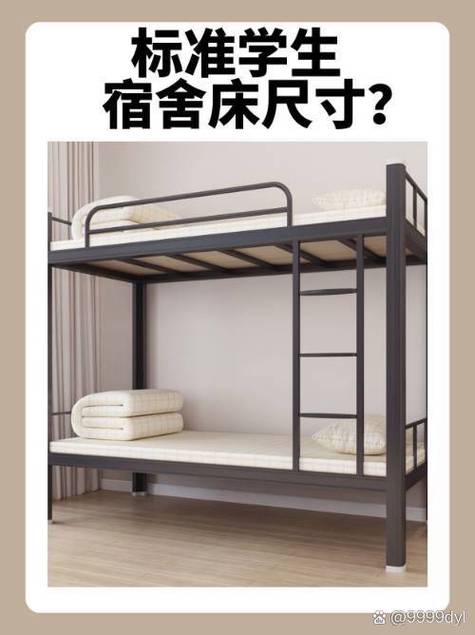 一般宿舍上下铺床尺寸截图