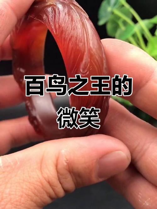 20161225百鸟之王图标