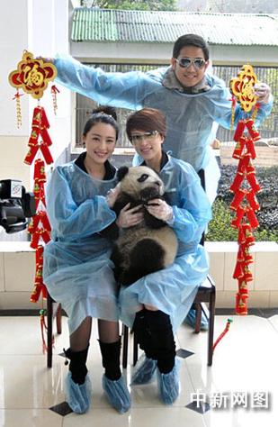 电视剧熊猫影视图标