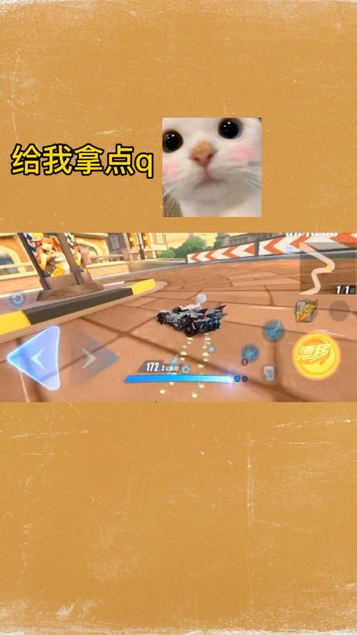 玩飞车的人脑子聪明吗图标