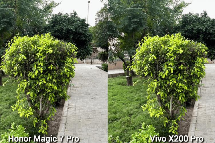 荣耀和vivo手机哪个拍照好