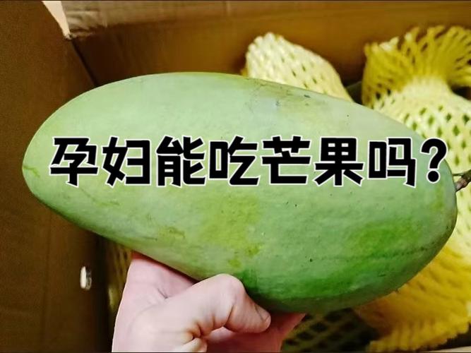 孕妇可以吃芒果吗图标