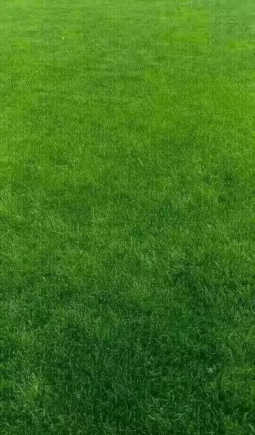 朋友验证绿色是开是关呢?图标