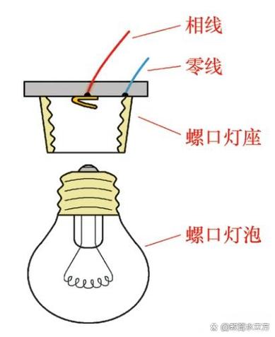 电灯泡简介截图