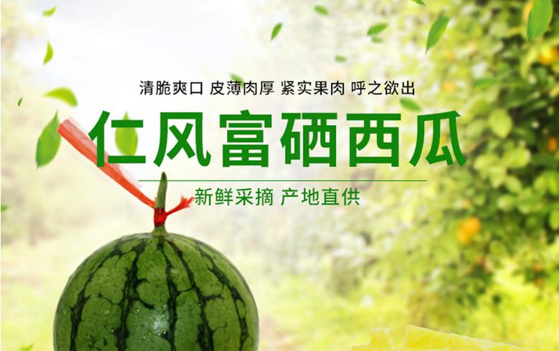 西瓜的详细介绍图标