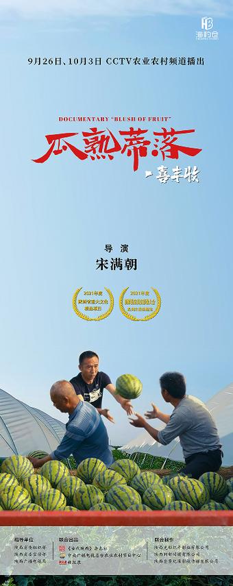 西瓜电影截图