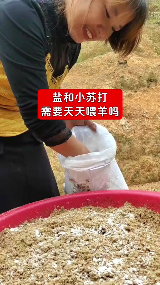 盐能不能天天喂羊吃图标