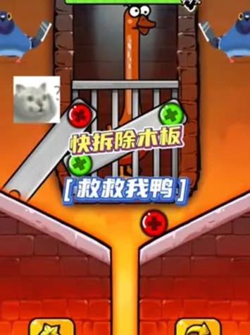 救救我鸭无广告版截图