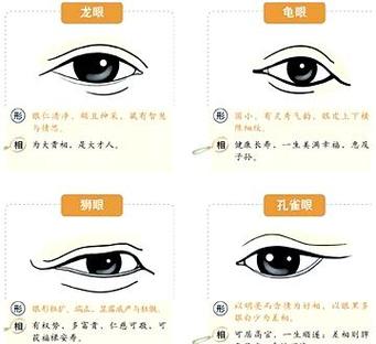 看人的眼睛能看出来聪明吗图标