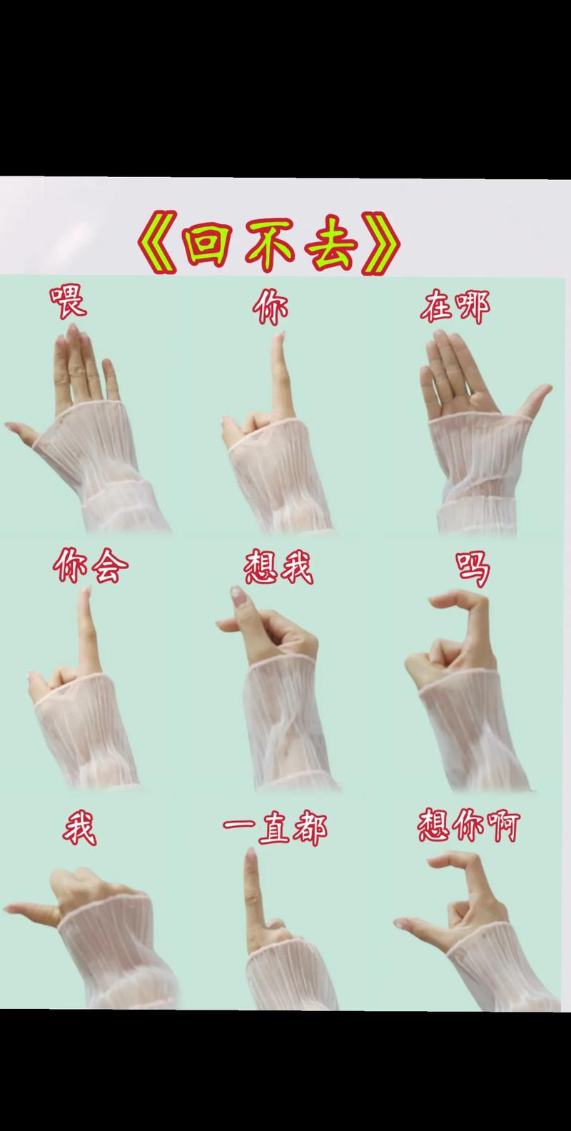 手势舞教程视频慢动作图标