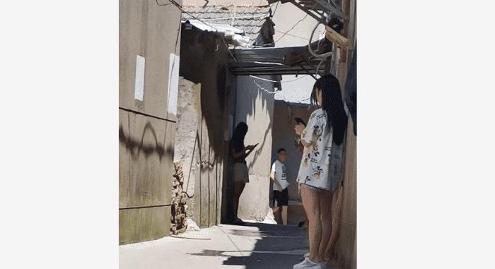 小巷子里的神秘事情小女孩攻略图标