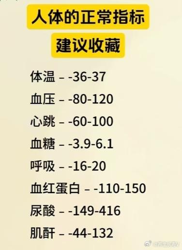 人体健康指标计算公式图标