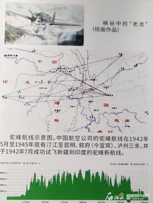 飞虎图纸尺寸图片大全图标