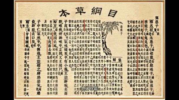 《本草纲目》 全文图标