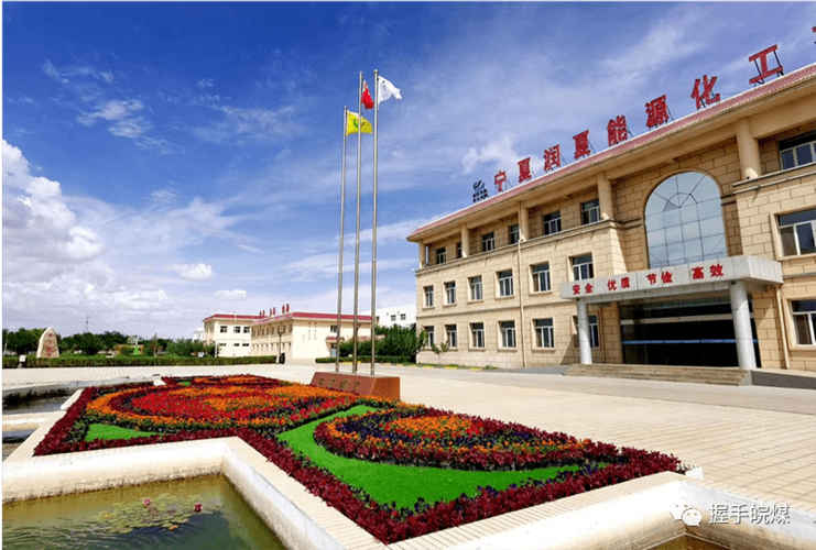 润夏公司图标