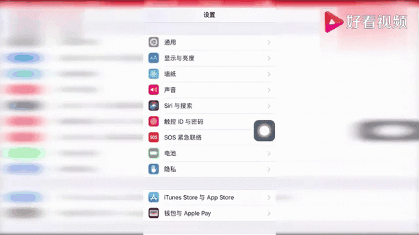 iphone开发者选项设置图标