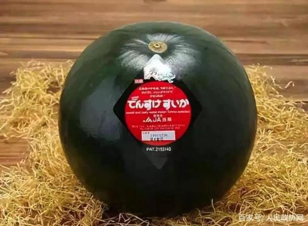 怎么赚葡萄币图标