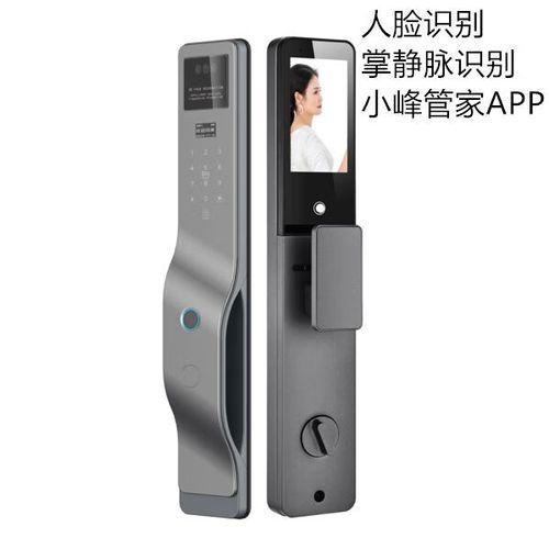 刷脸密码锁怎么解图标