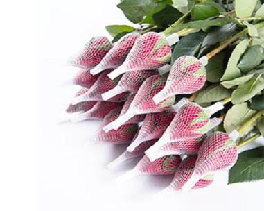 花娃鲜花接单图标