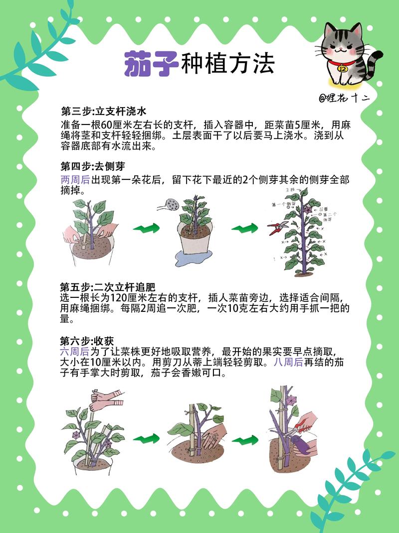种植方法和步骤图标