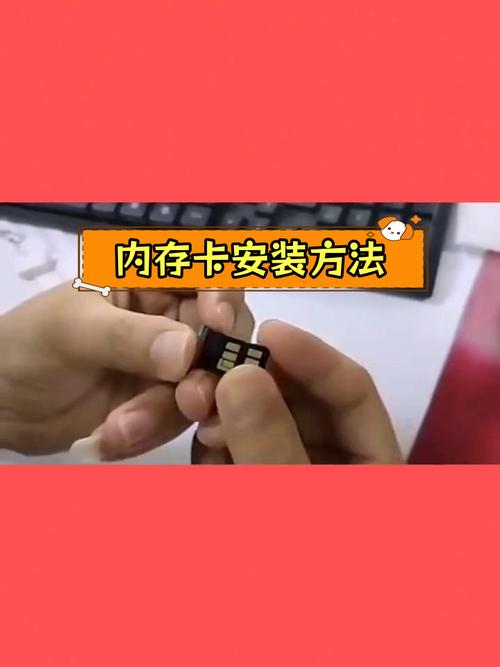 内存卡插到手机里面怎么用图标