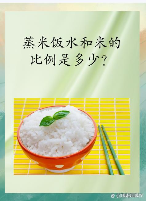 3万步相当于几碗米饭图标