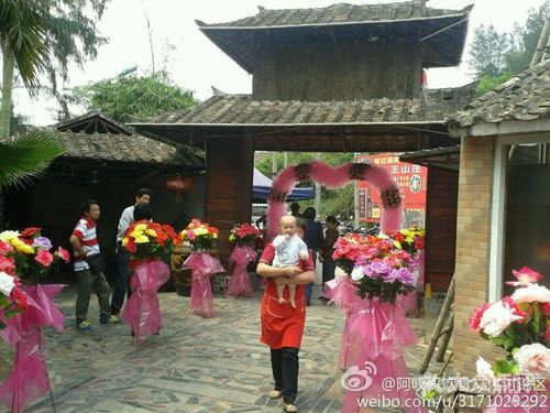 鸟王山庄图标