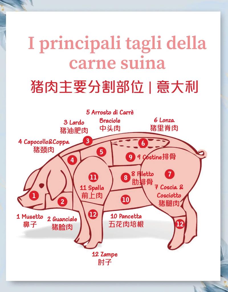 龙血肉分别在哪几截图