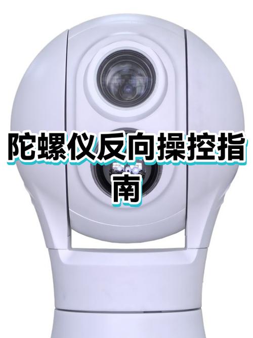 反向陀螺仪图标