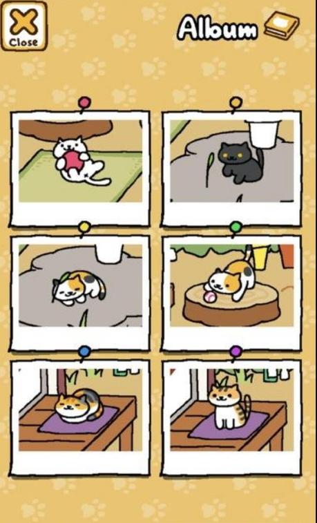 猫咪后院夫妻猫图标
