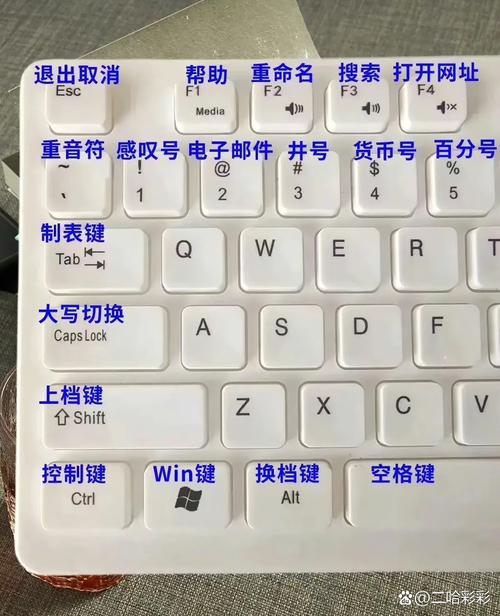 键盘不能打中文是什么原因图标