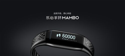 乐心手环mambo重置图标