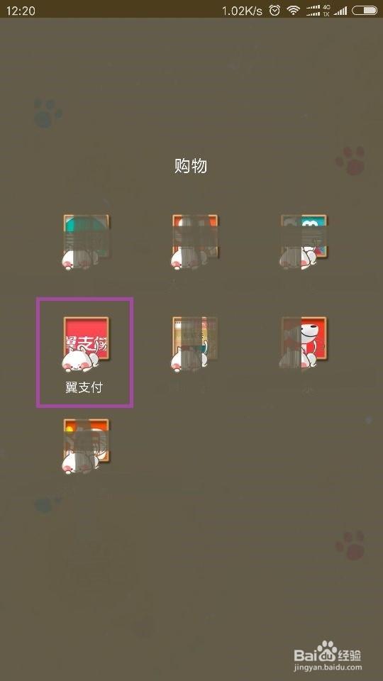 翼支付怎么看余额明细图标