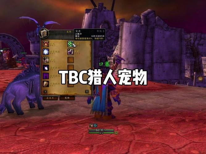 怀旧服tbc小宠物图标